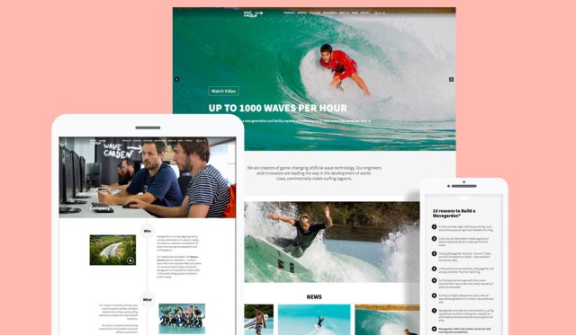 Identidad Visual | Dr. Minsky